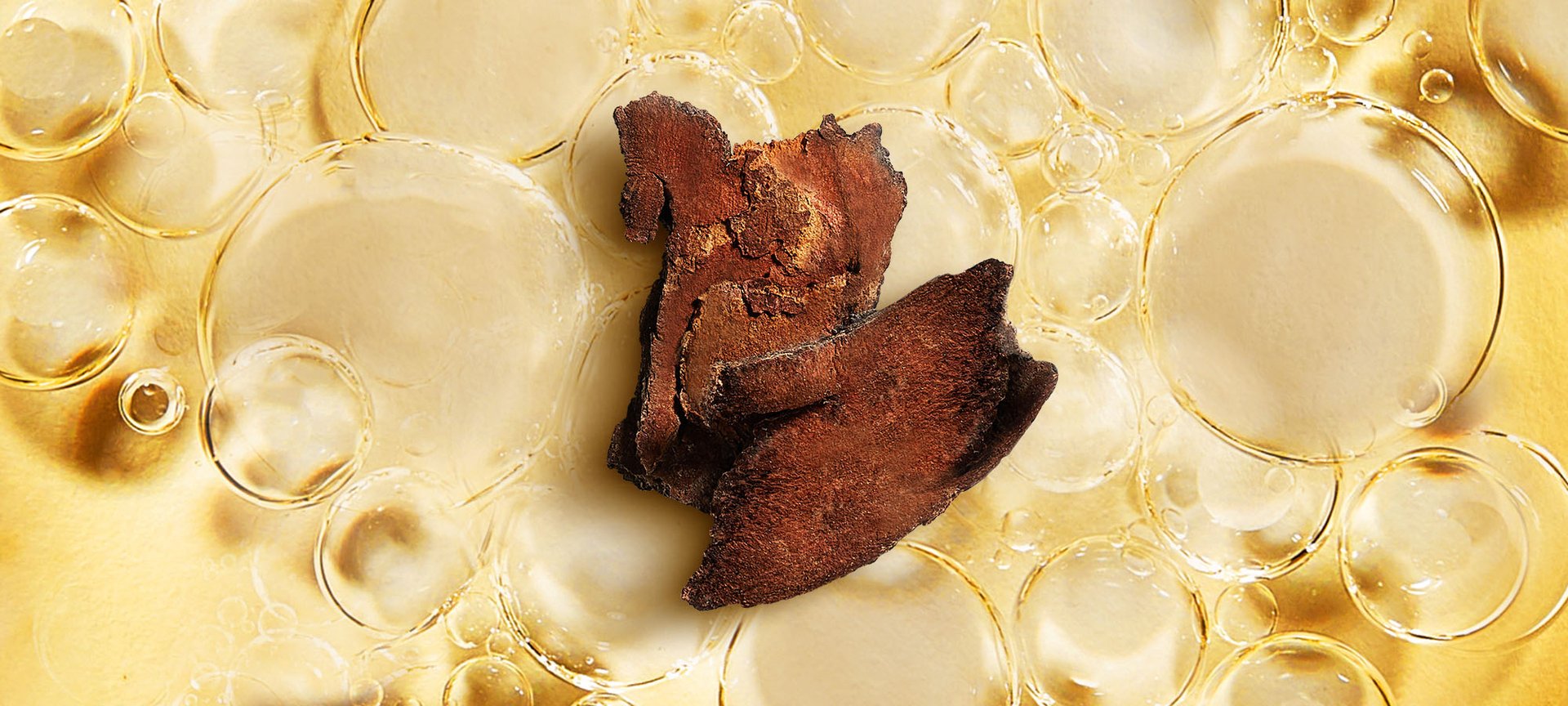 Elseve Extraordinary Floral Oil Lavender 100ml